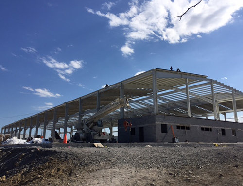 Naves Industriales - Ramsa Edificaciones S.A. de C.V.